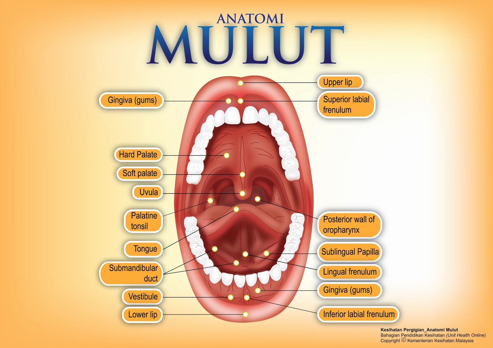 Makanan Yang Sesuai Untuk Pesakit Ulser Mulut - pesakitnegeri