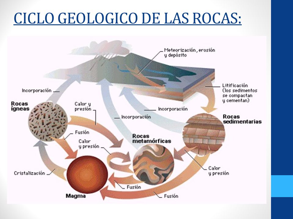 Darwiniano Curso 2015/16: 3ESO - El ciclo geológico