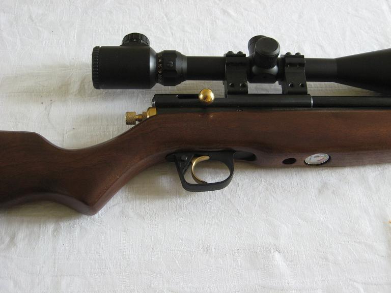 Gary's Hatsan Air Rifle's and other stuff: My Benjamin Discovery
