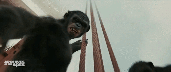 Archives Of The Apes: Rise Of The Planet Of The Apes (2011) Part 44