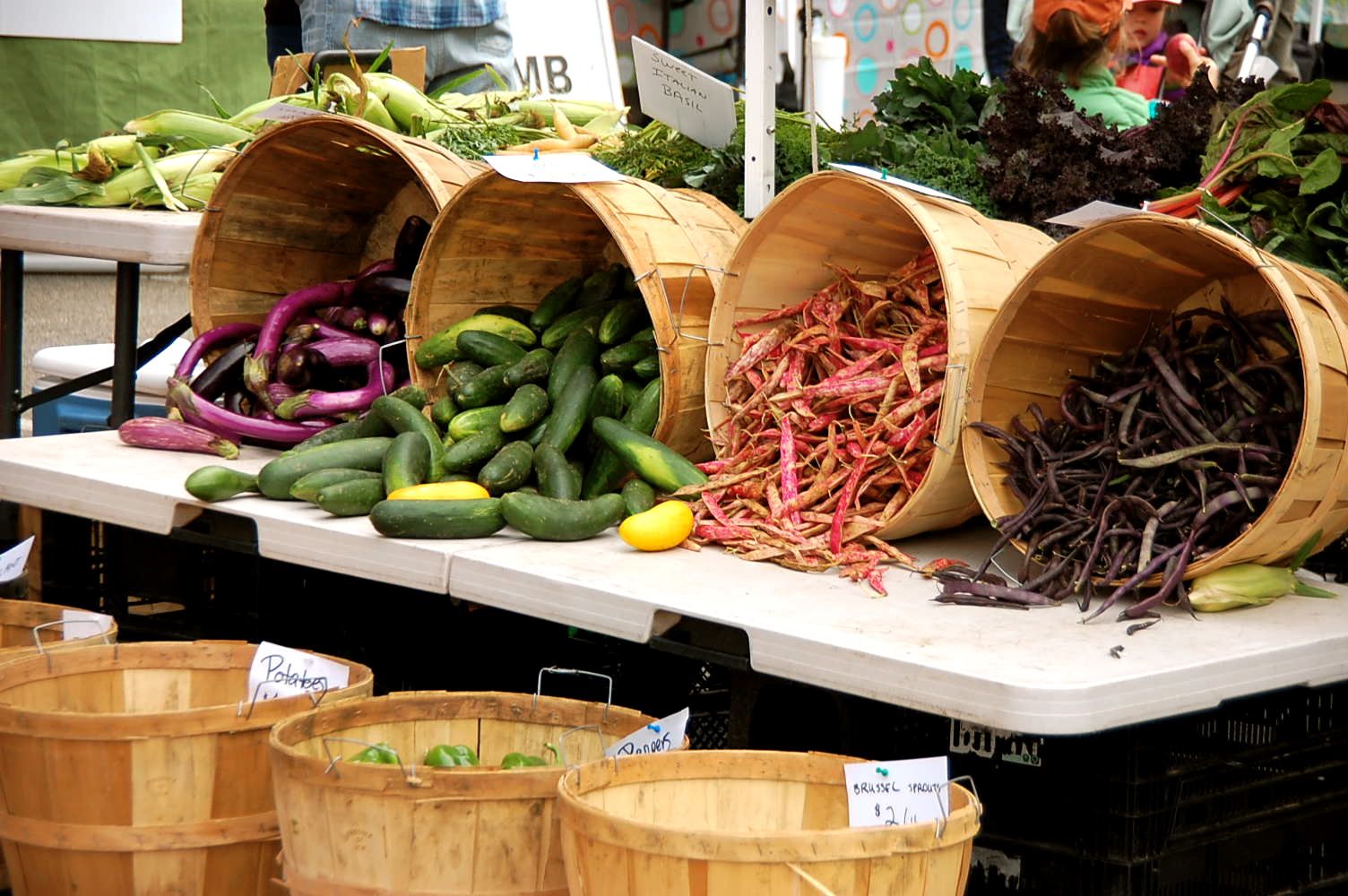 inspired to create: Sunday Strolls ...