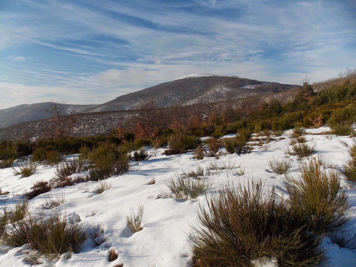 Sendas de Burgos: Mogosa desde el Puerto del Manquillo