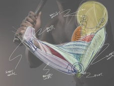 Shoulder and Elbow Surgery: Roll the mouse pointer over the joint of ...