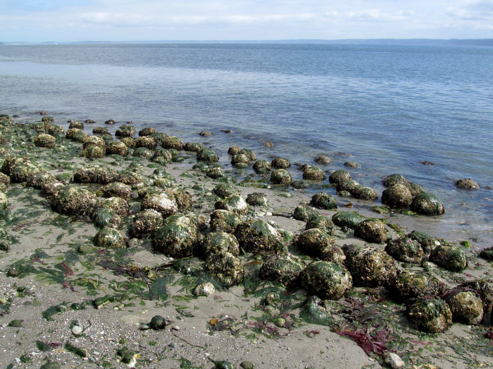 Gravel Beach: Nodule Point