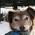 Pawsitive Feedback's Dog Blog - www.pawsitivefeedback.com: Caring for ...