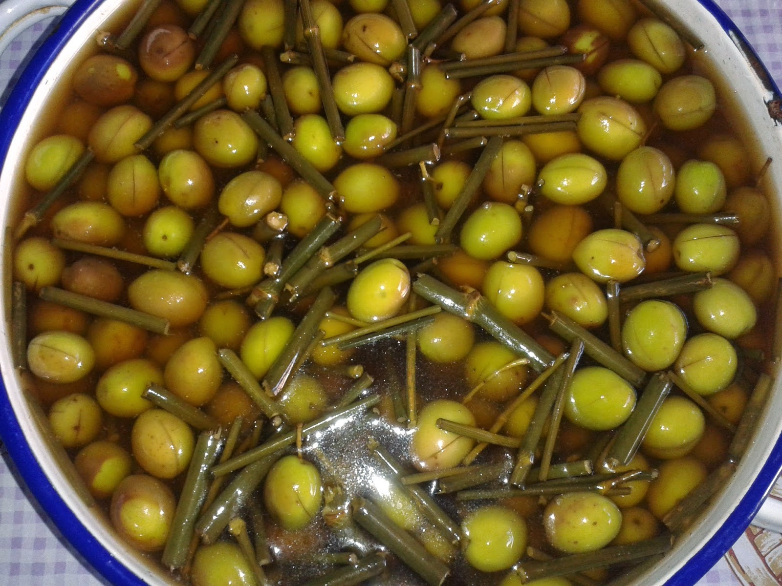 La raccolta delle Olive