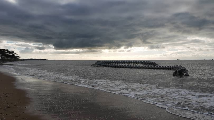 Serpent d’Océan – Sea Snake Skeleton