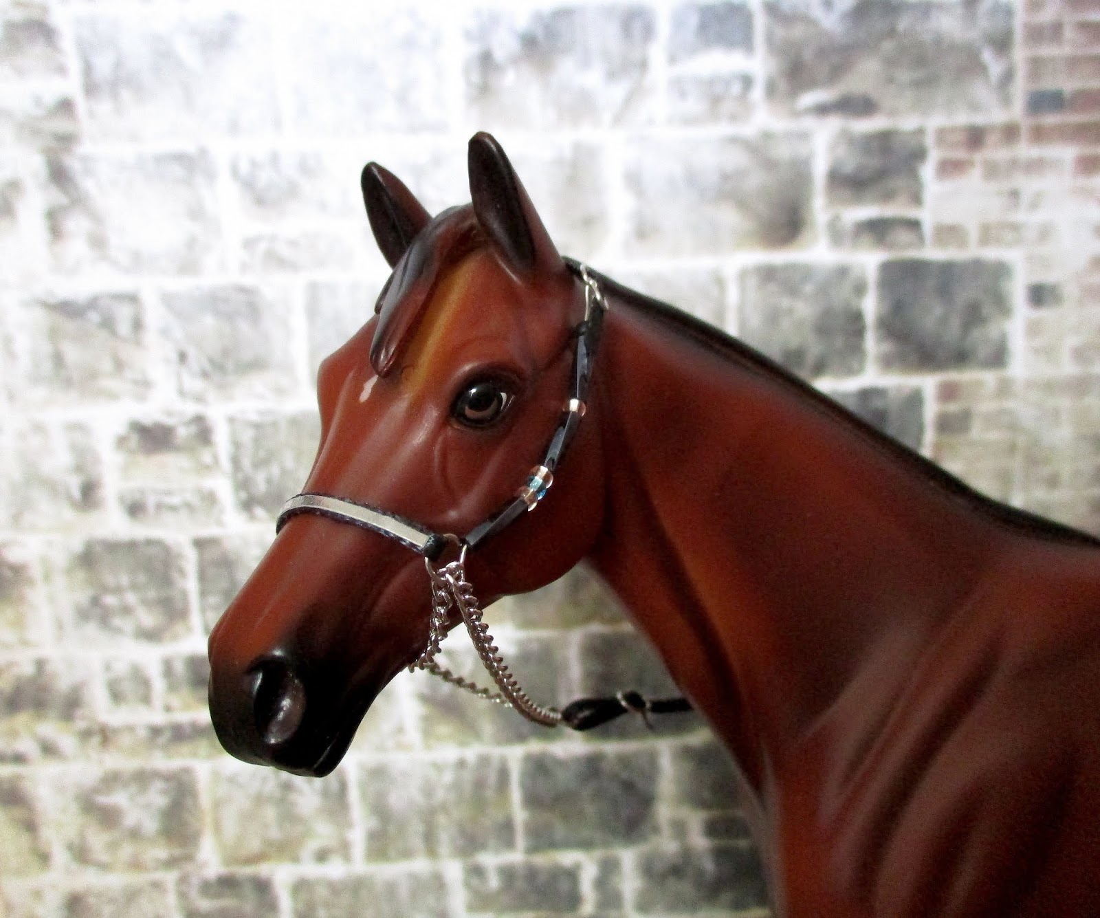 The Sandy Horse: Arabian Halters