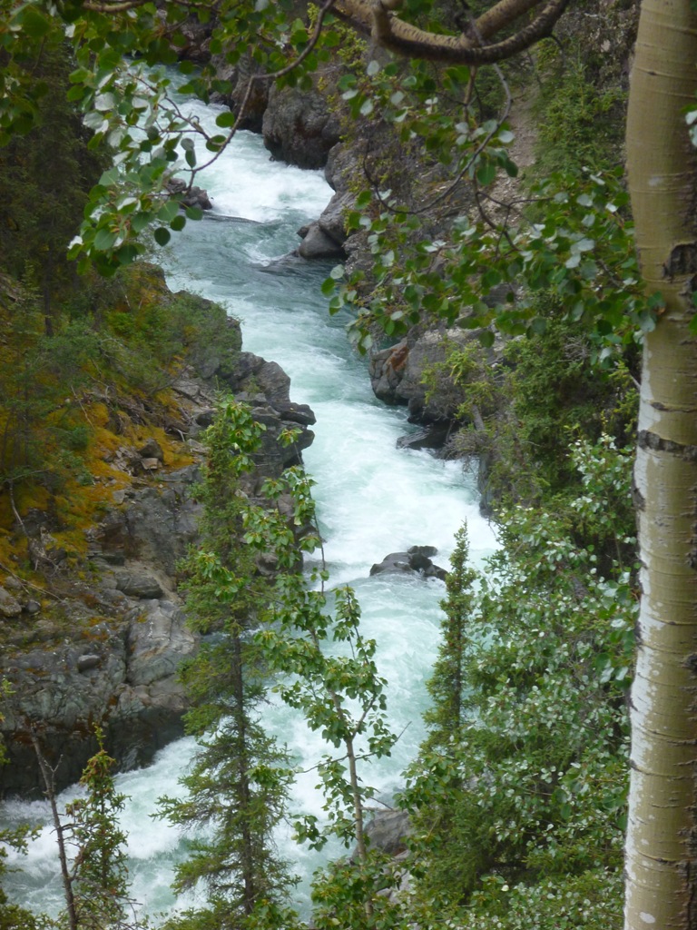 Yukon Frolics: Muncho Lake to Rabbit River