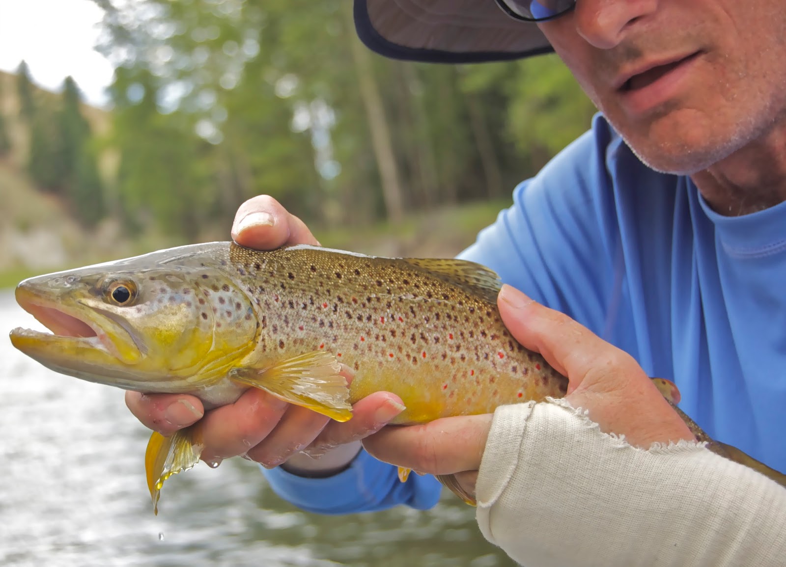 The Montana Marauders: Throwback Thursday : Fish Gypsies Of Summer