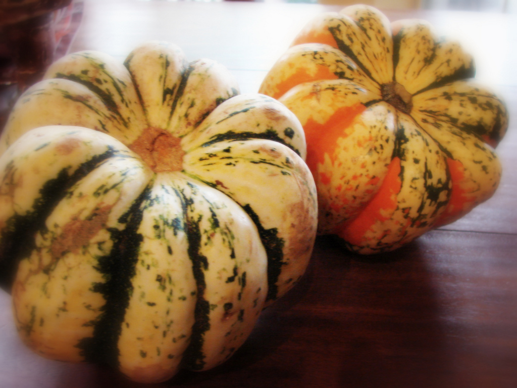 Texas-to-Mexico: A Texas to Mexico Paleo~Style Stuffed Squash