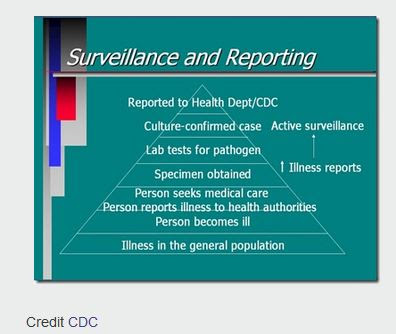 Avian Flu Diary: EID Journal: Evidence of SARS-CoV-2 RNA in an ...