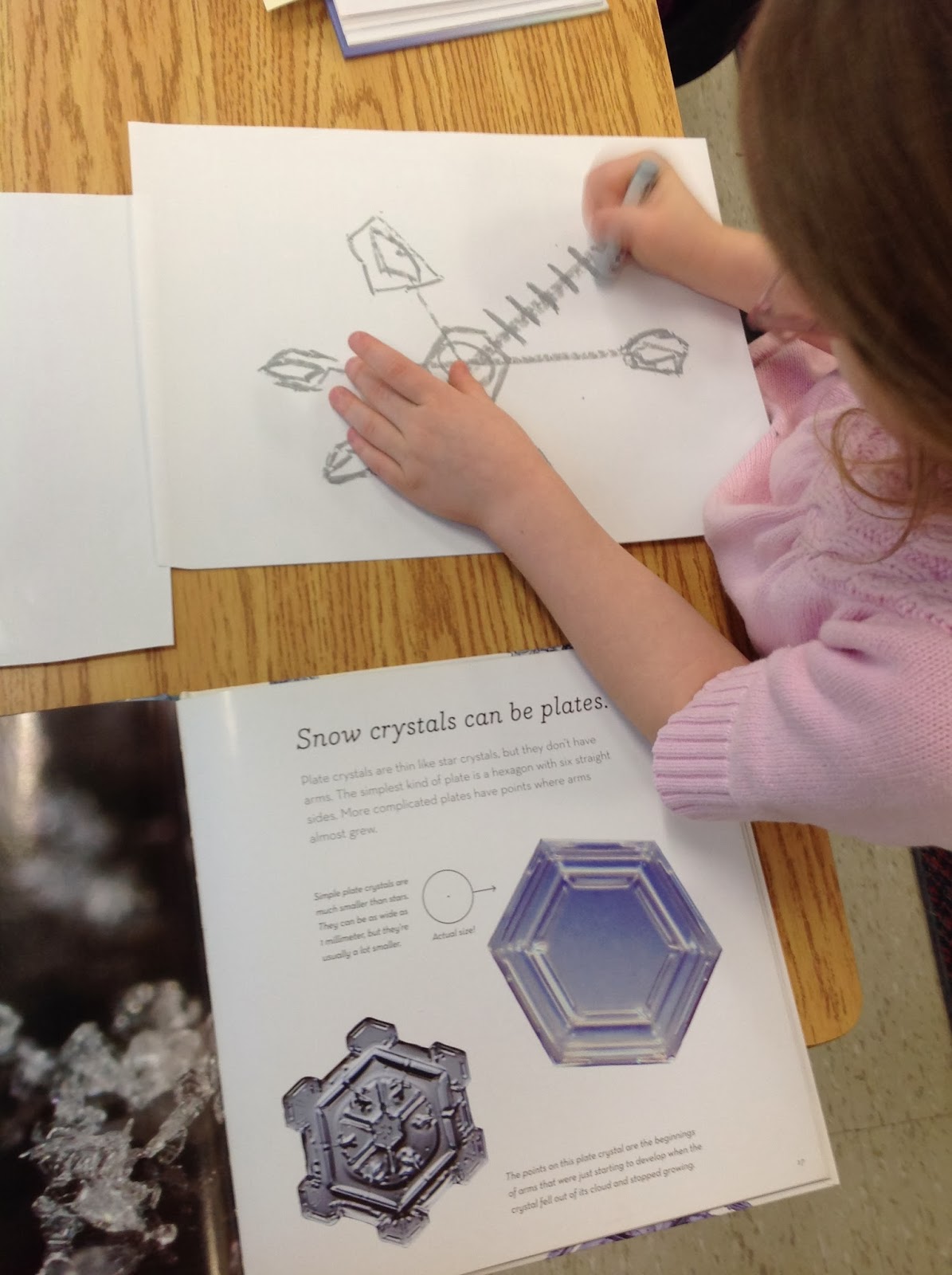 Wonders in Kindergarten: Our Snowflake Inquiry Further Learning!