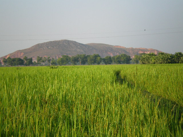 Buddhist Stupa: Sheikhpura, Bihar, India