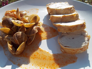 IRENE KOKEN THUIS: POLLO DE MAR