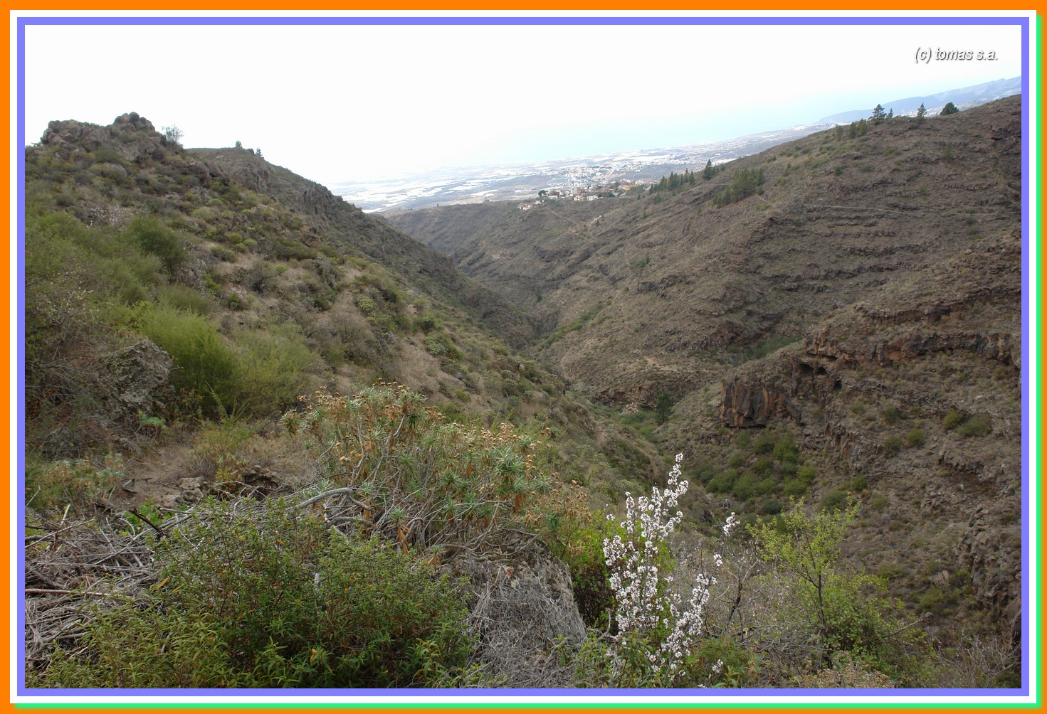Tenerife senderos......: TENERIFE SENDEROS --GUIA ISORA-- EL JARAL -LAS ...