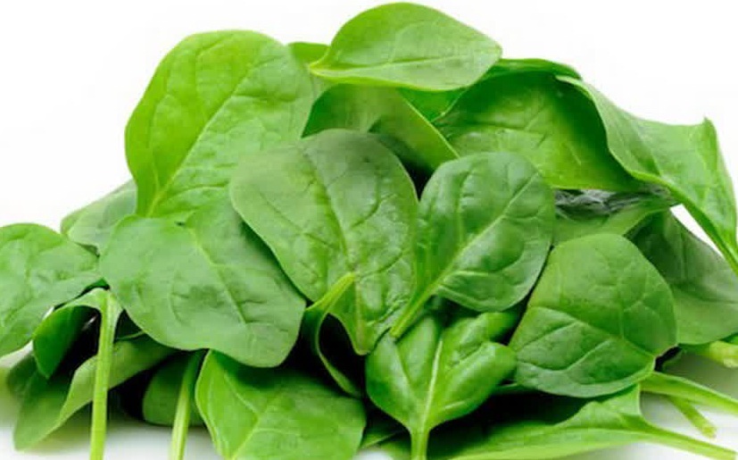 10 Manfaat Sayur Bayam Bagi Kesehatan Tubuh Uniq Info