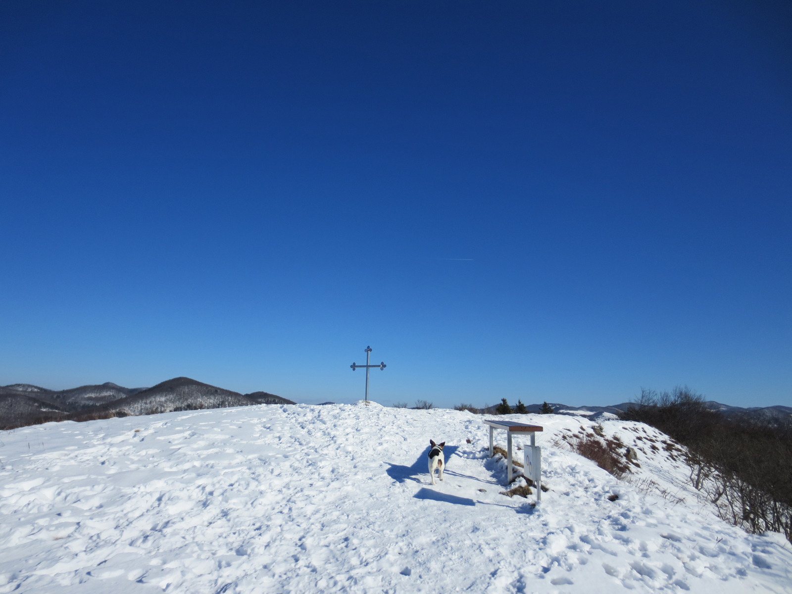 Menard & Jack Russell Terrier: Kovk (961 m)