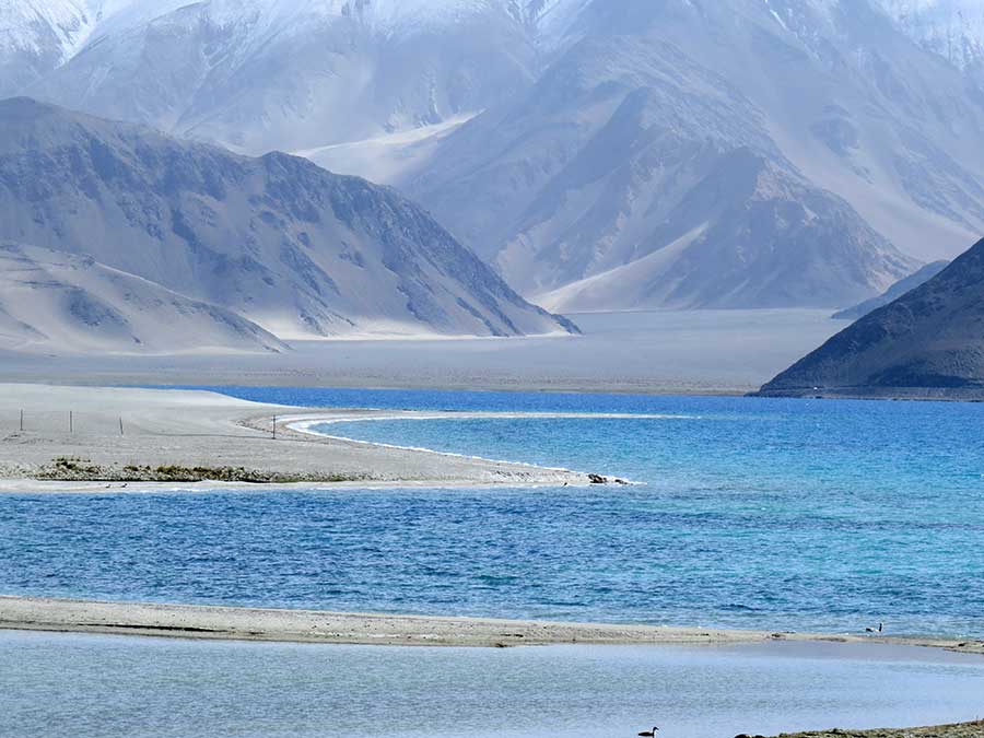 Just About Everything: Pangong Tso Lake Ladakh