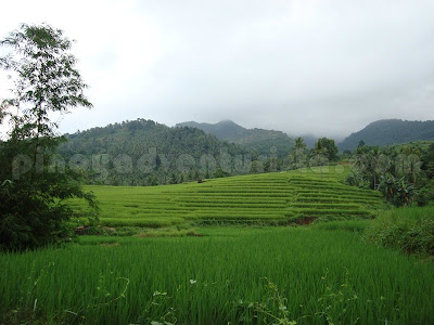 Biliran - Iyusan Rice Terraces and Mainit Hot Spring | Blogs, Travel ...
