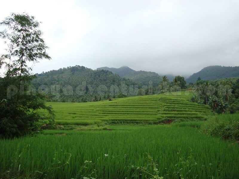 Biliran - Iyusan Rice Terraces and Mainit Hot Spring | Blogs, Travel ...
