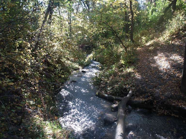 Us.: Little Yellowstone Park, ND.