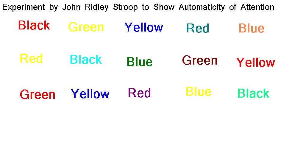 MIND: Attention and Executive Attention