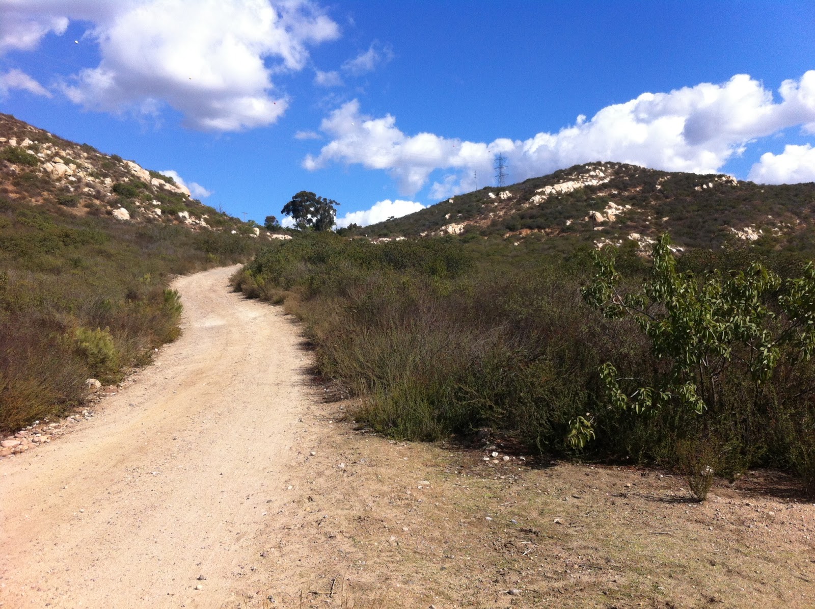 Blueberry Darling Hikes California: Goodan Ranch and Sycamore Canyon