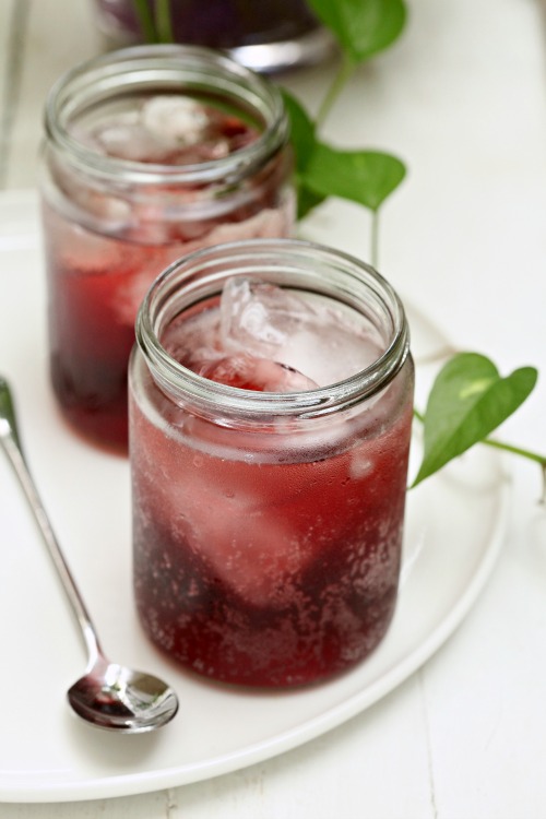 Ribena Lemonade | Segar dan Sedap | Resepi Ibunda