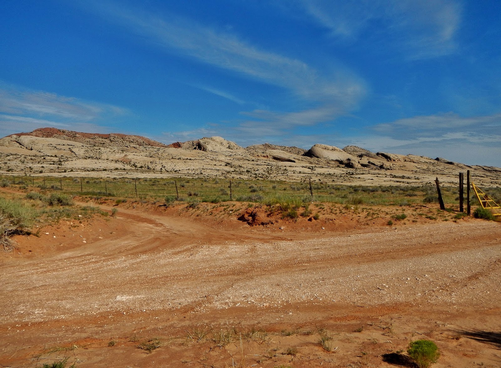 The Southwest Through Wide Brown Eyes: Wolfman Panel and Ruins - Comb ...