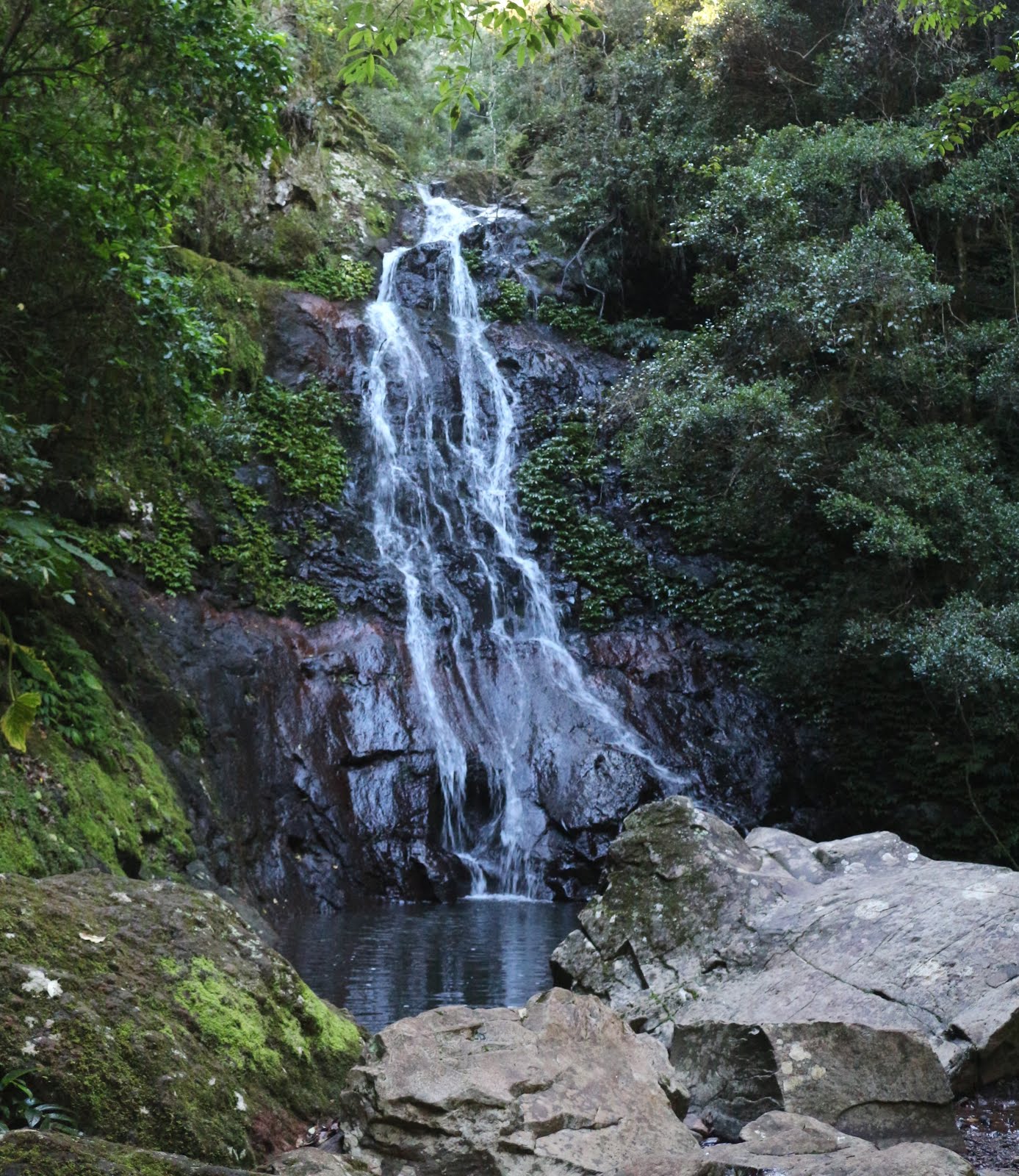 National Park Odyssey: Lookout Road, Goomburra Section, Main Range ...