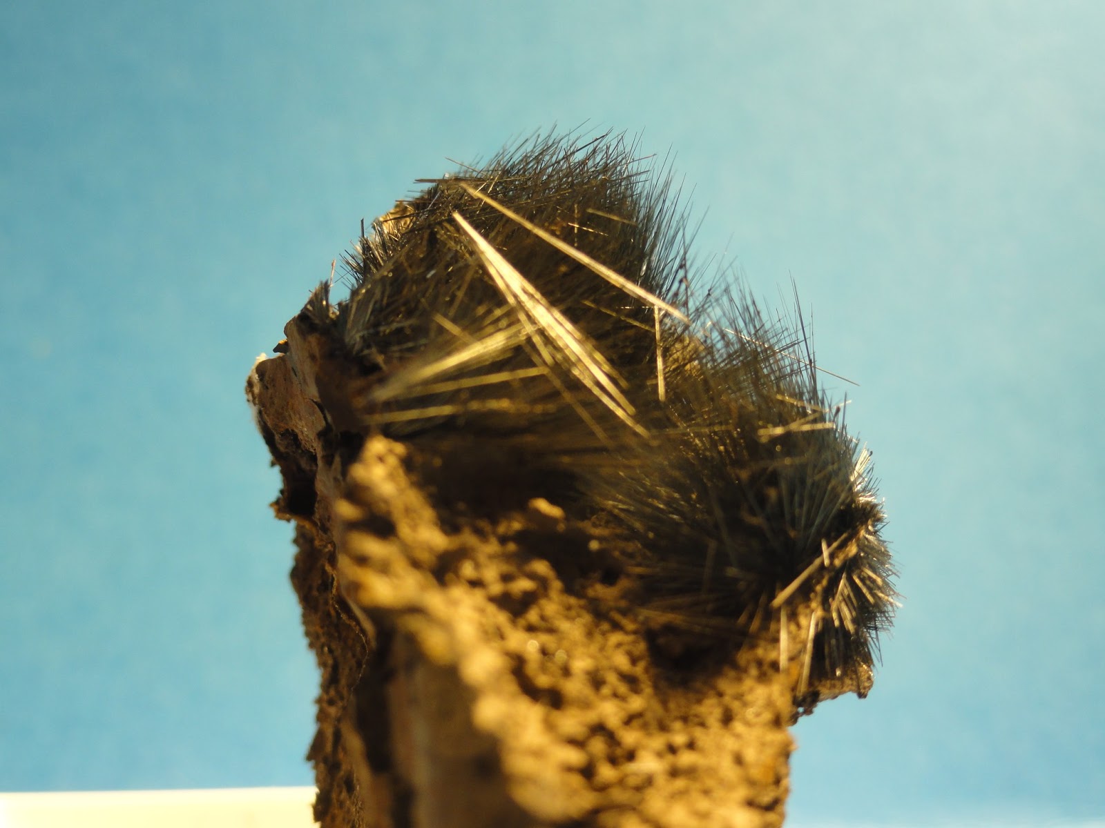 Mi colección geológica: Pirolusita y Oxidos de manganeso