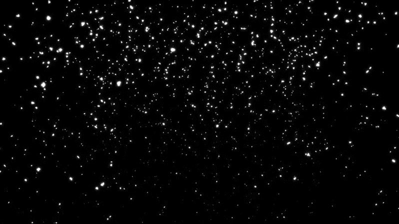 Блог Колибри: Animated gif snow