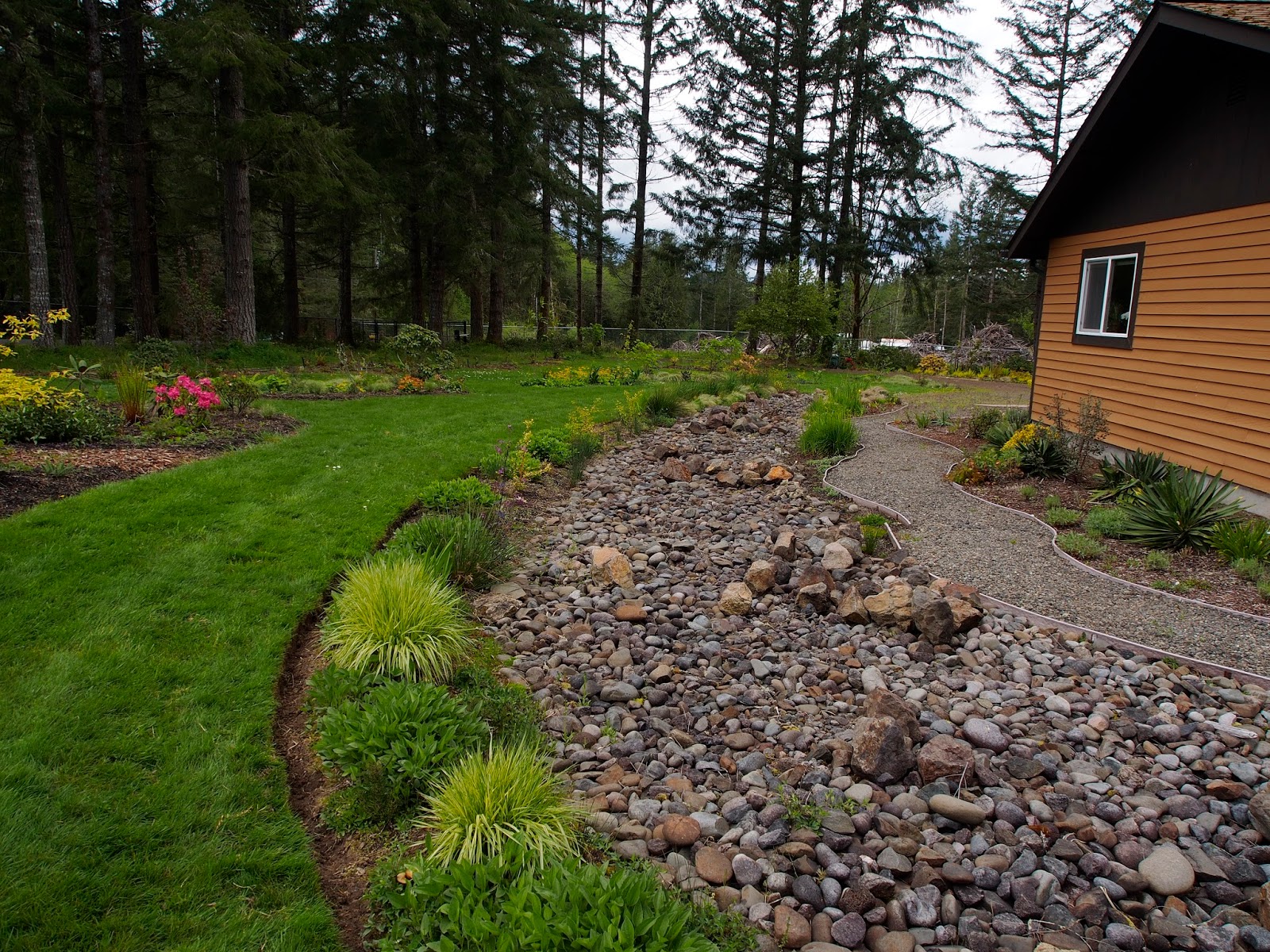 Wednesday Wide Shots