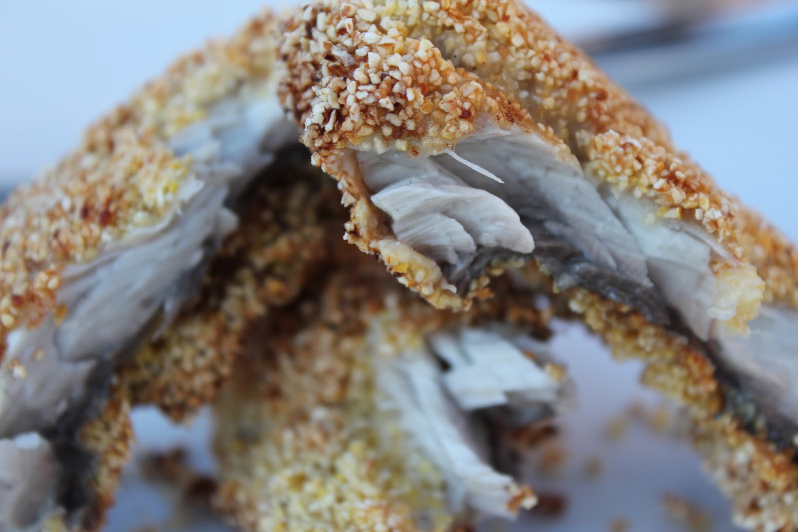 In and Around Town: Deep-Fried Bluefish