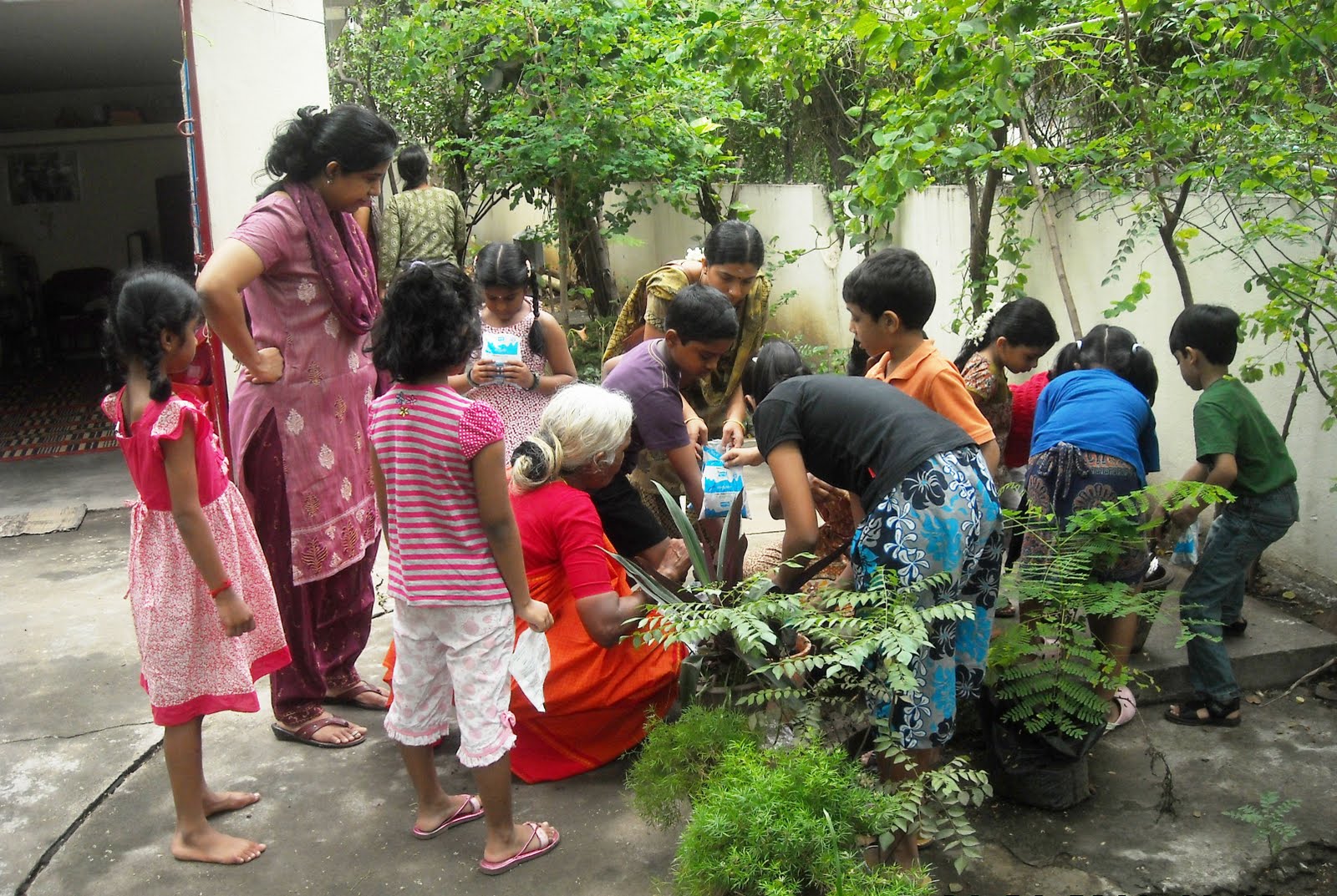Anna Nagar Daily: Promoting Environmental Awareness About Trees