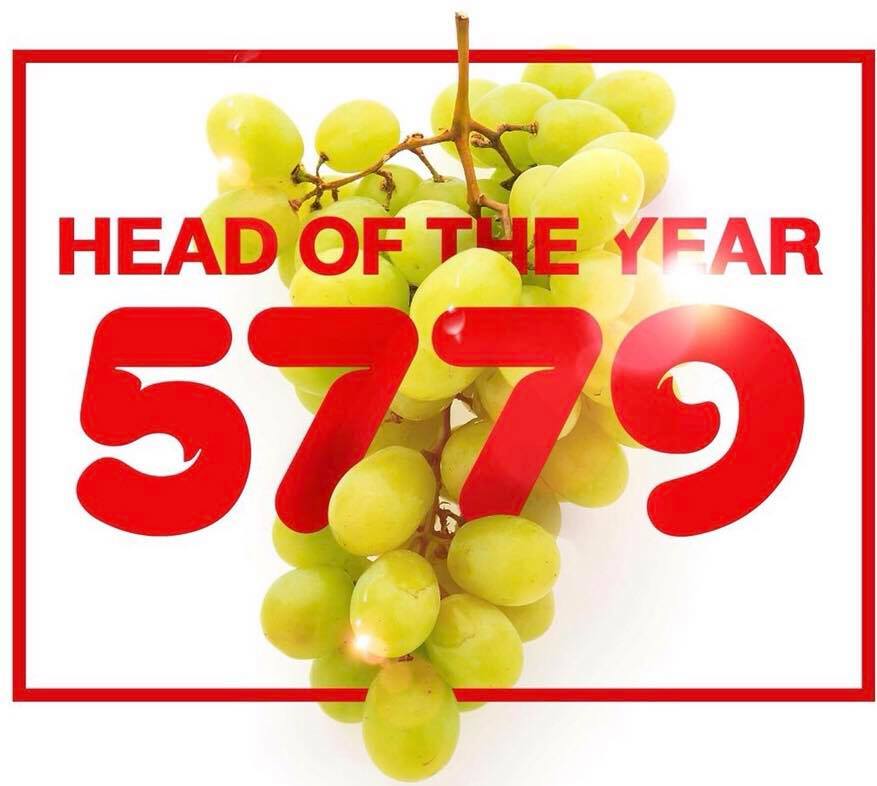 Pattamarot: Rosh Hashanah 5779