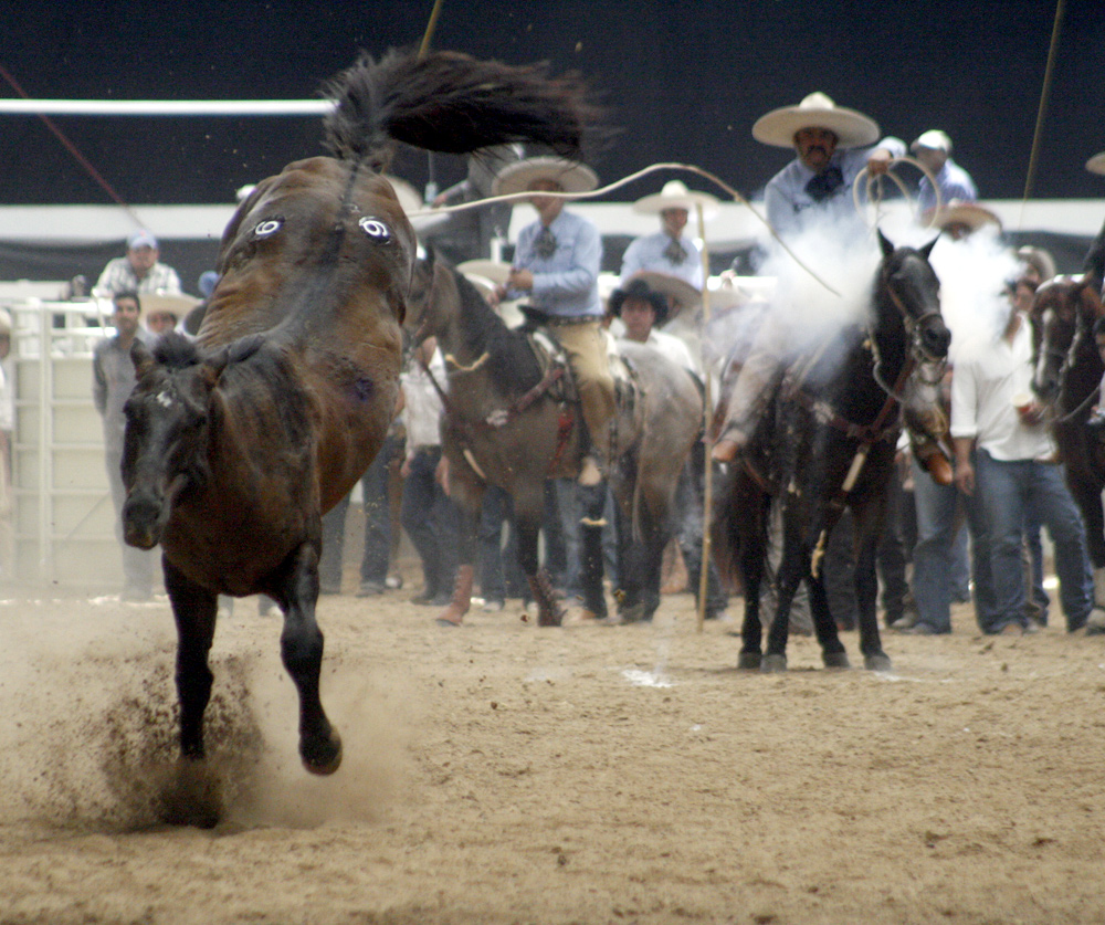 LA CHARRERIA (CABALLOS)