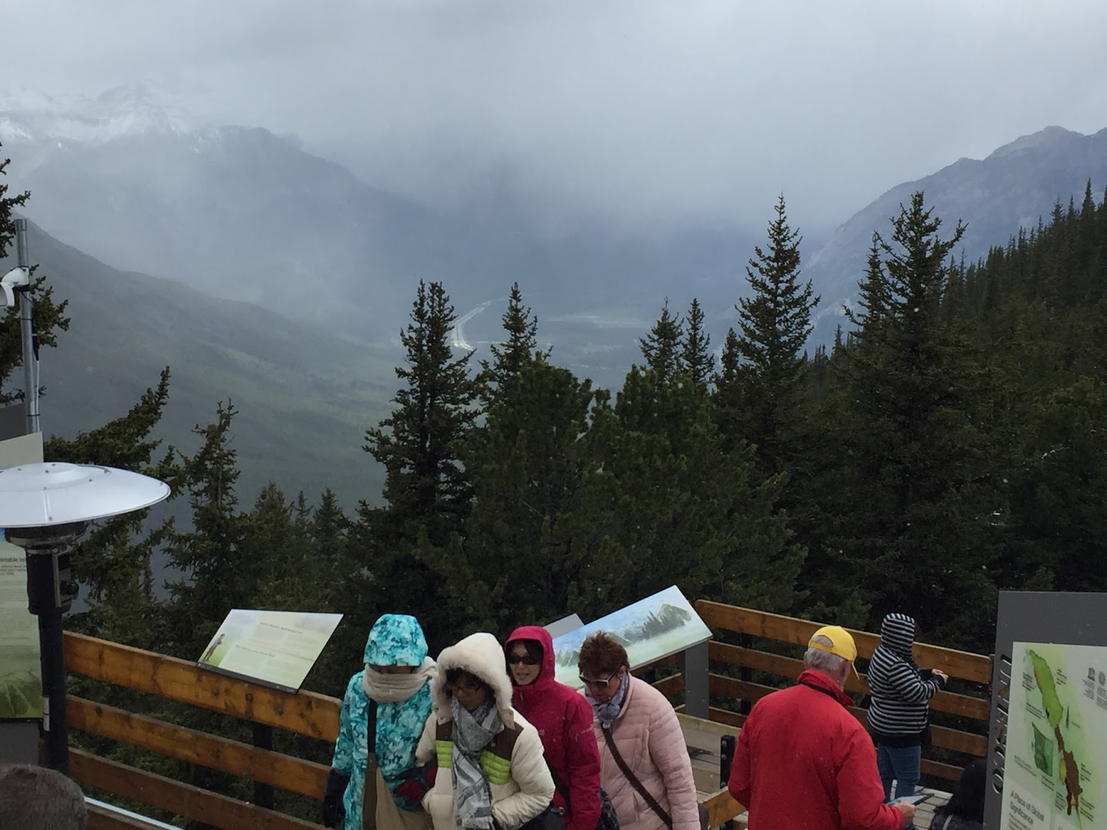 venturing4th: Snow on Sulphur Mountain