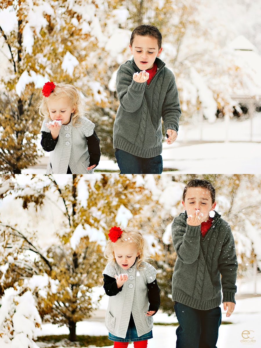 EllieCutler Photography