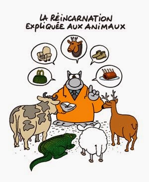 LE COQ PICORE: UN PEU D'HUMOUR