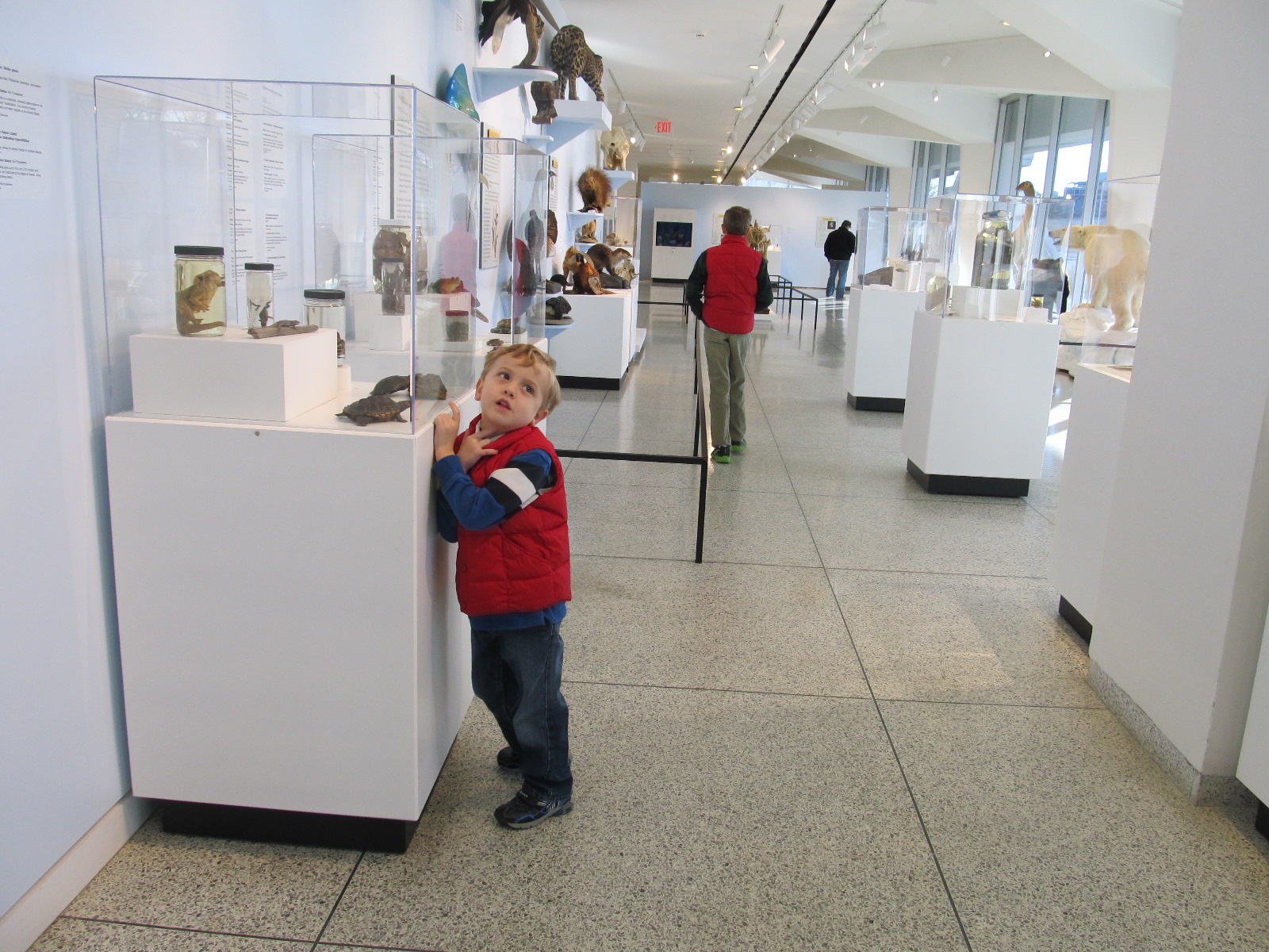 Visiting the NJ State Museum