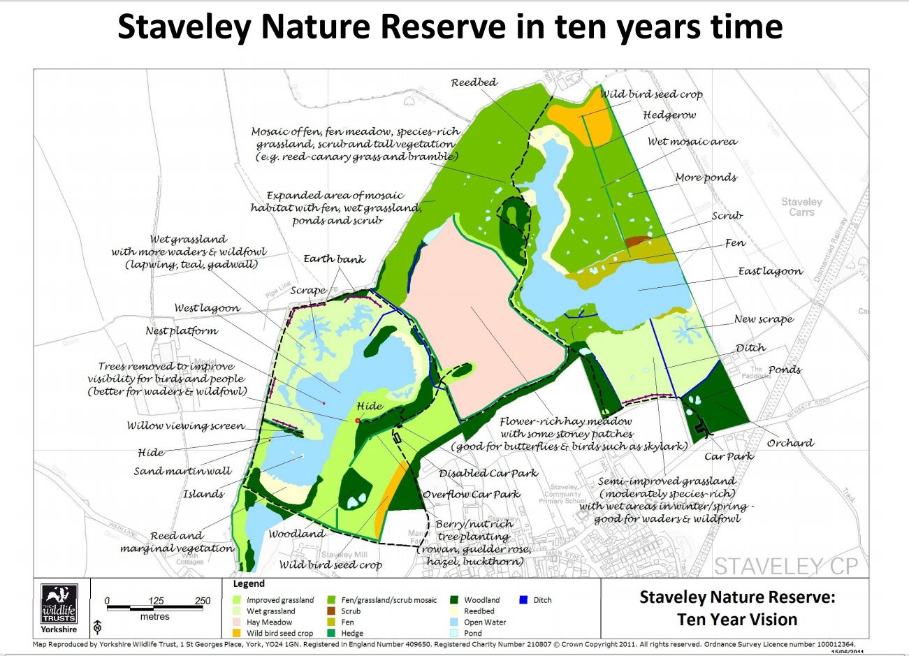 Neil's Bird photography: Neil' s bird photography