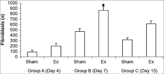 Microcurrent Therapy in Wound Healing