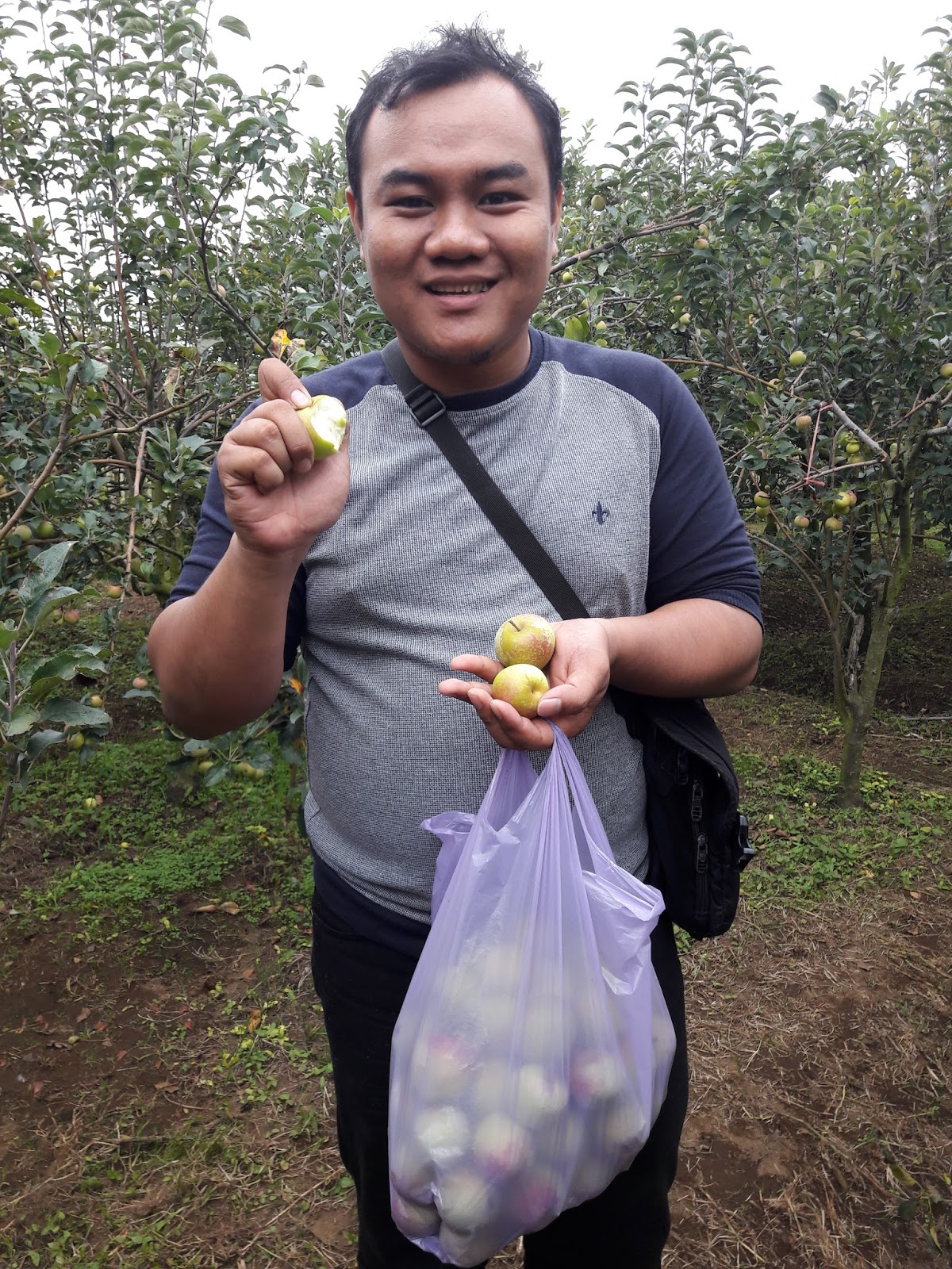 Mendadak Panen di Wisata Petik Apel - Batu, Malang! - Meykke Santoso