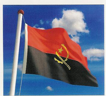 Angola Flag Pictures