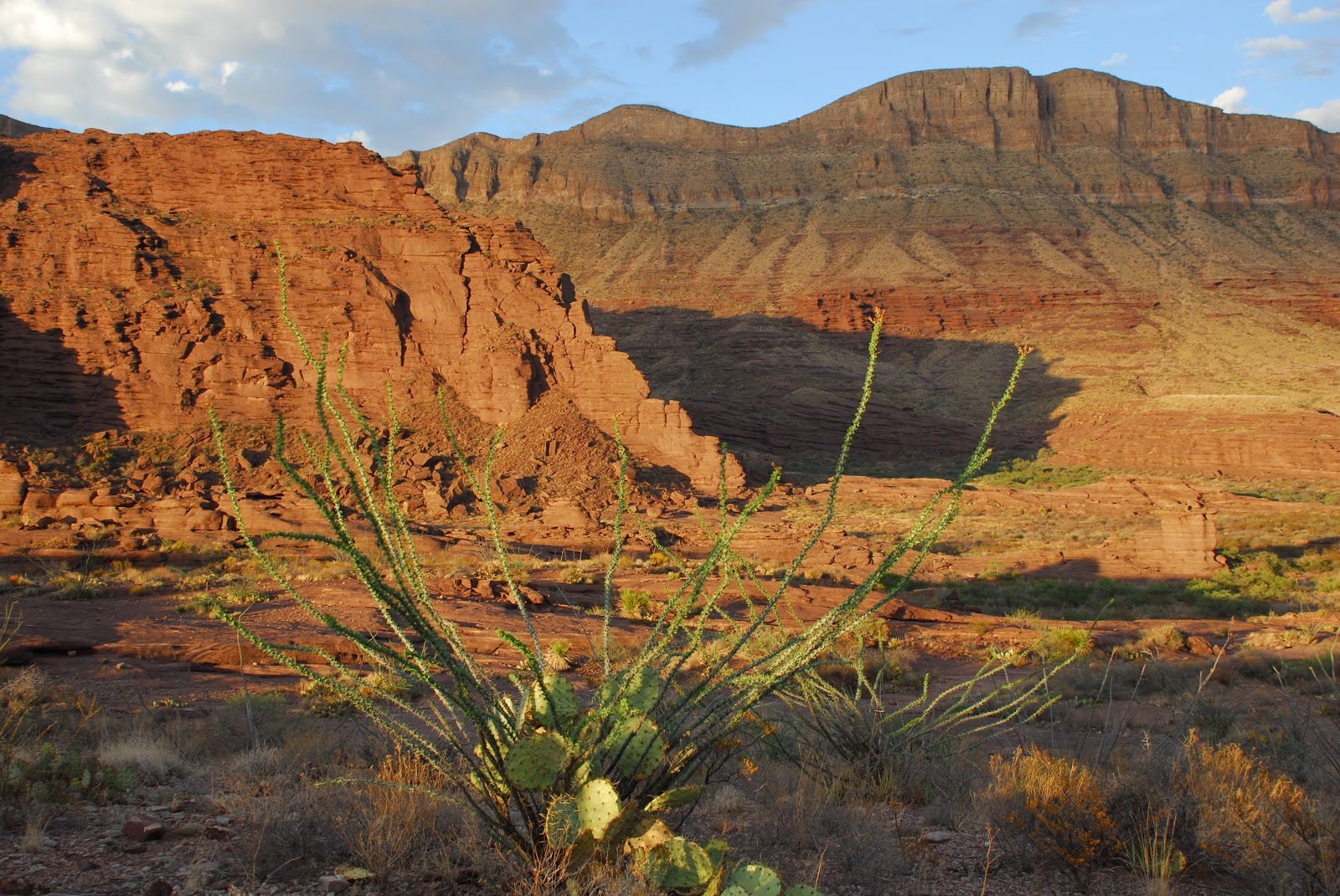 Texas Mountain Trail Daily Photo: Landscape north of Van Horn