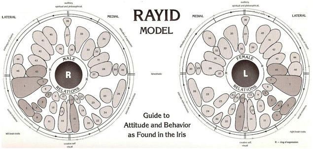 NIRVANA CONSCIÊNCIA HOLÍSTICA: CURSO DE IRIDOLOGIA COMPORTAMENTAL E ...