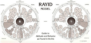 NIRVANA CONSCIÊNCIA HOLÍSTICA: CURSO DE IRIDOLOGIA COMPORTAMENTAL E ...
