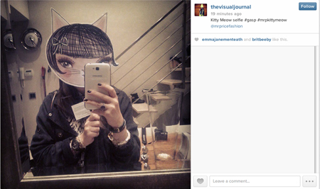 The Painted Blackbird: KITTY MEOW LOVE II